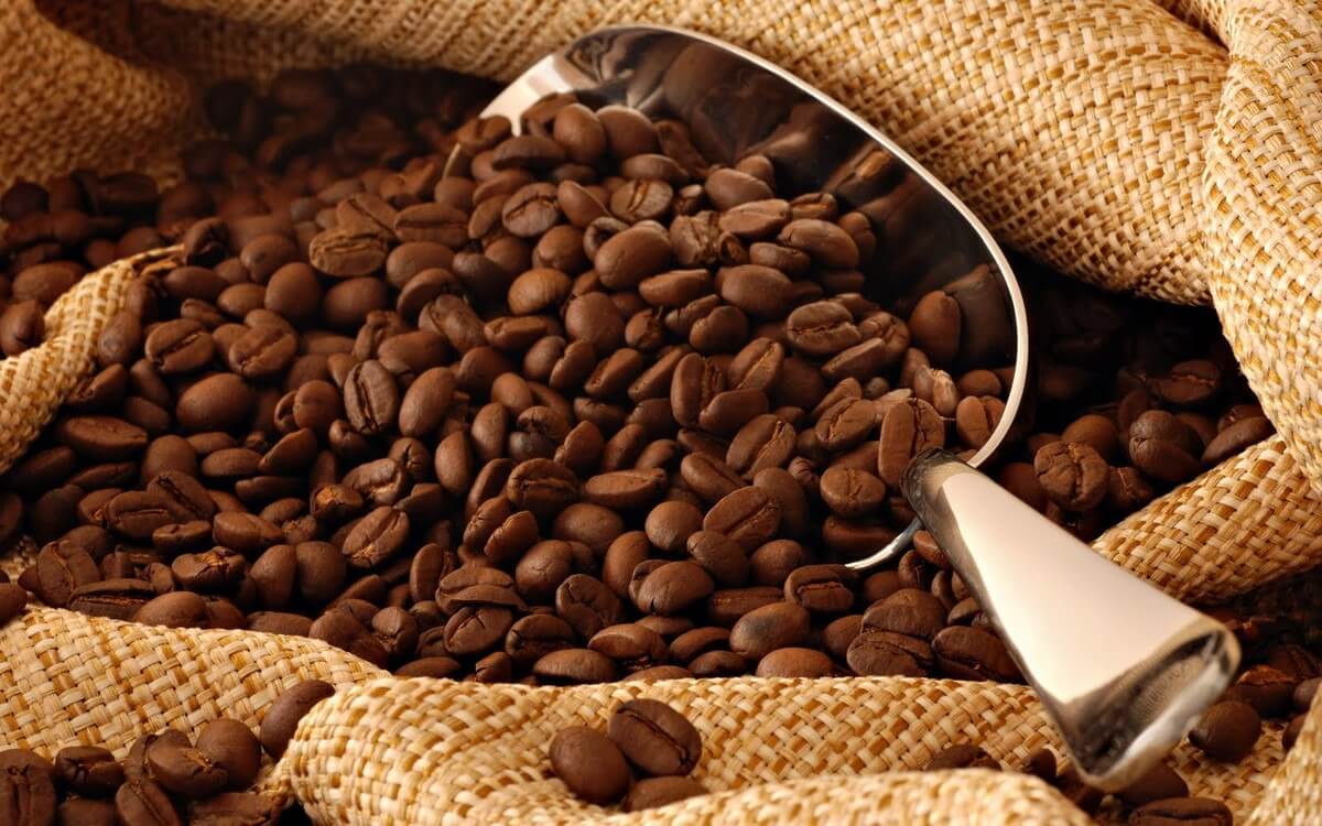 4 curiosidades sobre o café gourmet que você precisa saber - Todos Destinos