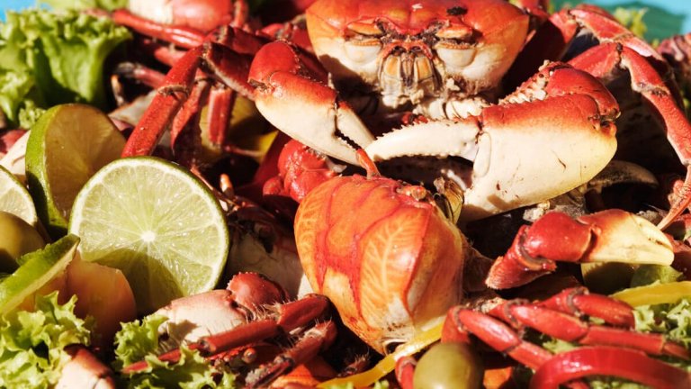 Conheça a culinária local do Amazonas: o guia de sabores nativos ...